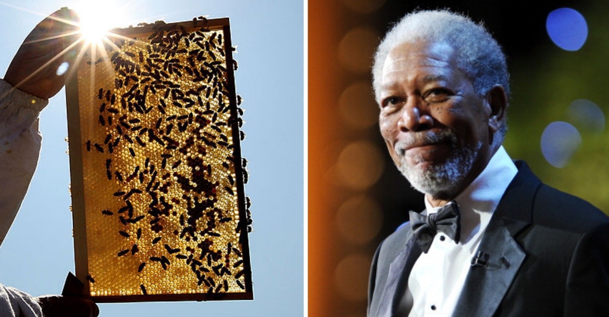 High fives to Morgan Freeman for transforming his ranch into a 124-acre ...