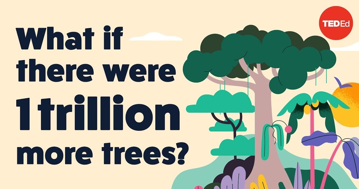 Captivating new TED video shows how planting a trillion trees would ...