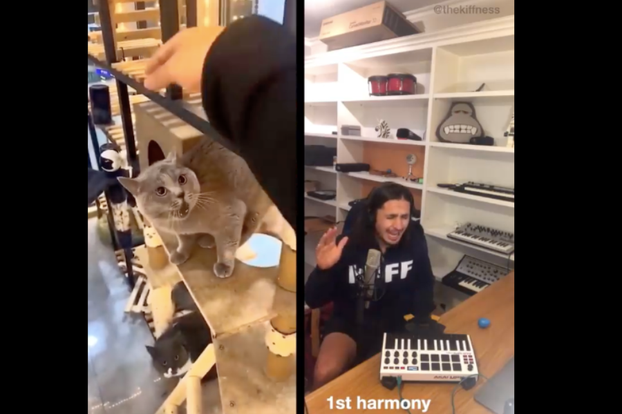 The Kiffness' 'Alugalug Cat' duets are genuinely amazing - Upworthy