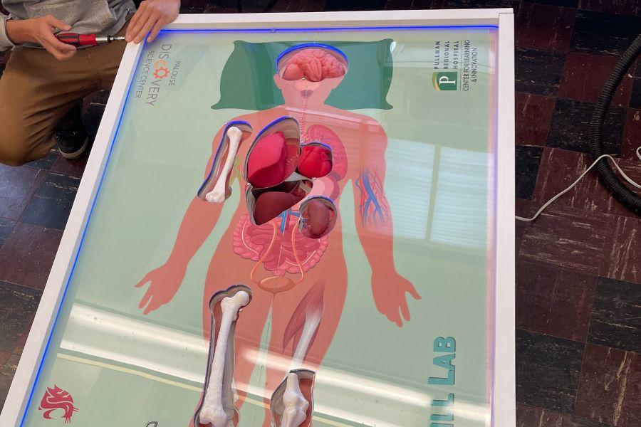 WSU engineering students create life-size Operation game - Upworthy