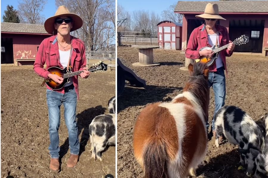 Kevin Bacon sings Beyoncé's 'Texas Hold 'Em' for his farm animals in an ...