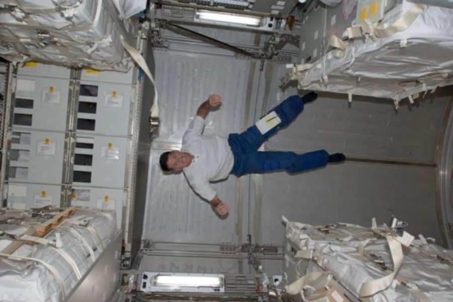 Astronaut unlocks a new phobia with a demonstration of being stuck in ...