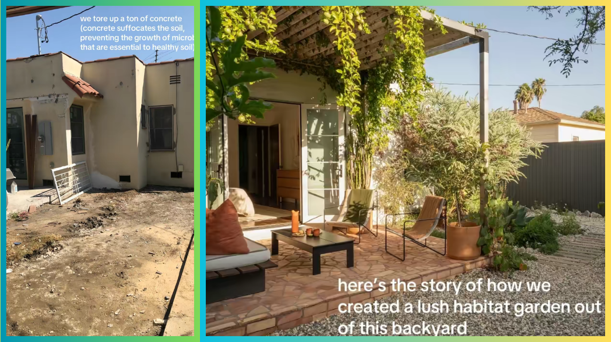 Mother and daughter reveal how they transformed boring backyard into ...