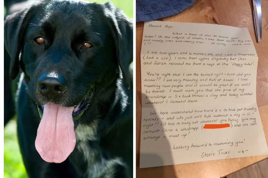 Four guys write a letter asking to walk their new neighbor's dog. The ...