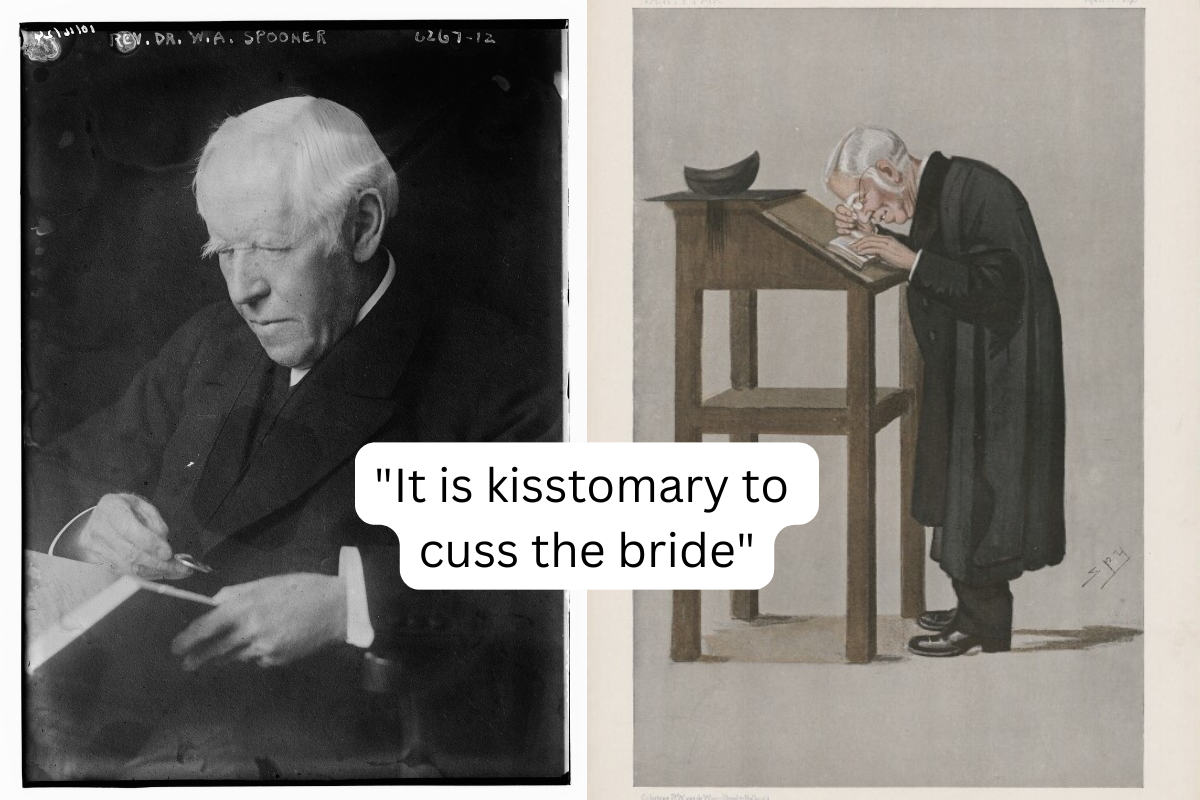 The weird history of Spoonerisms: English's silliest slips-of-the ...
