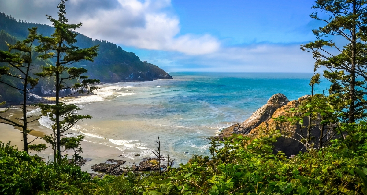 Oregon triumphs in hilariously heated battle that removed a state from ...