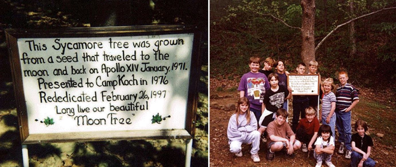 In 1971, an astronaut brought seeds to space. After returning to Earth ...